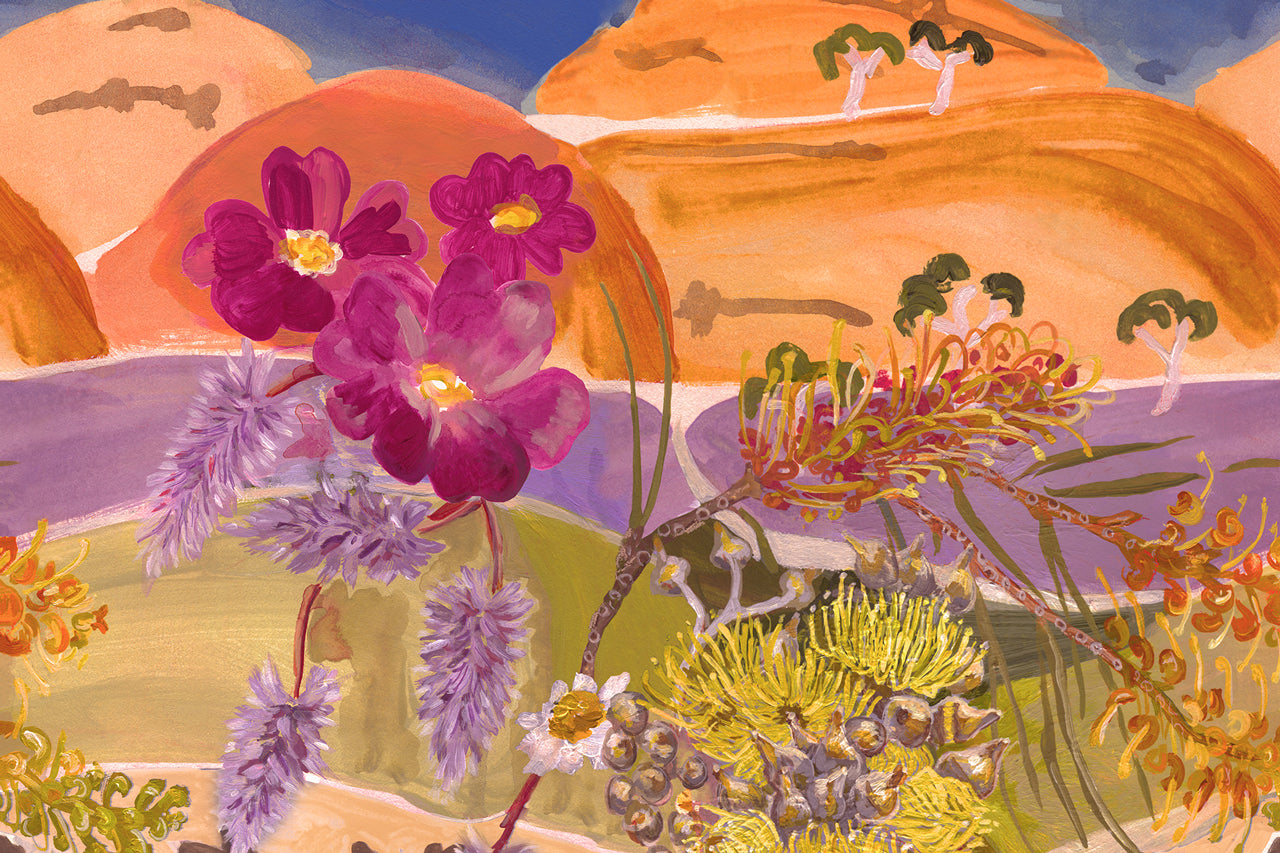 Radiance | Explore Eastern Arrernte