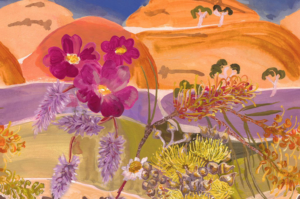 Radiance | Explore Eastern Arrernte – Nancybird